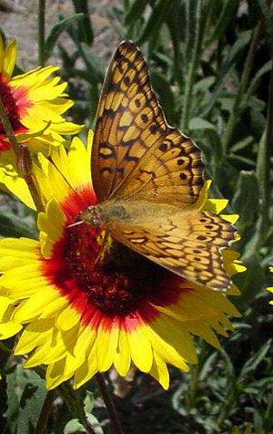 Enjoy Life With 8 Simple Steps - Thom Byxbe's Research Desk