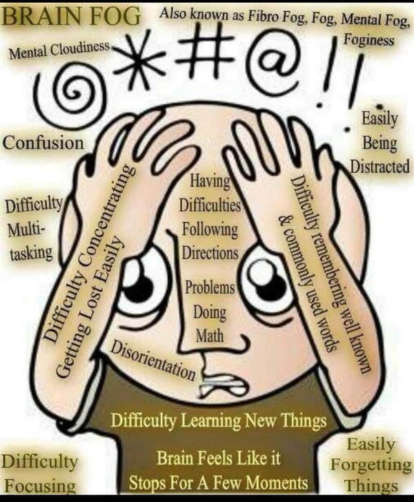 Brain Fog - Thom Byxbe's Research Desk