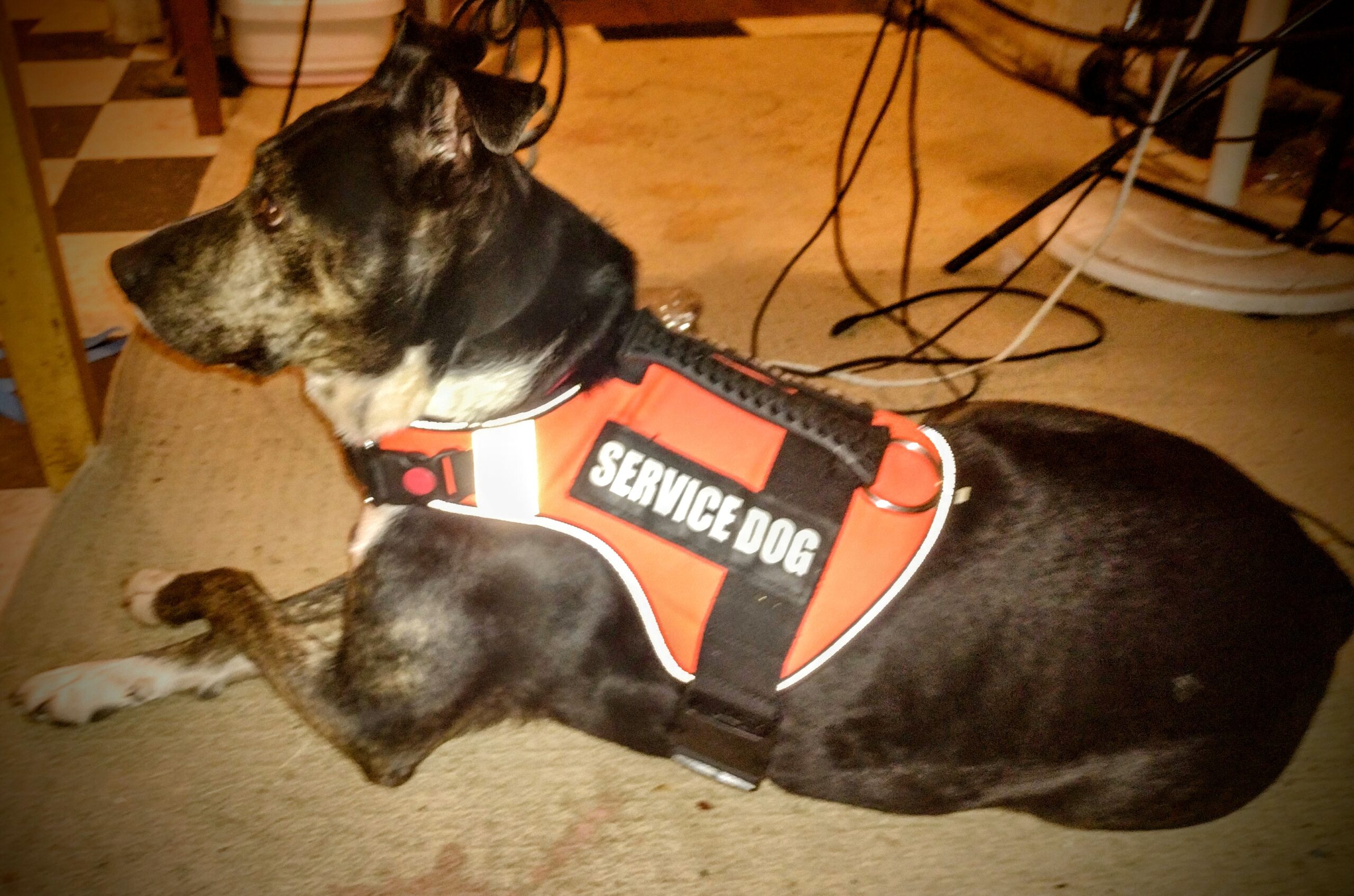 Cross Legs - Thom Byxbe's Research Desk