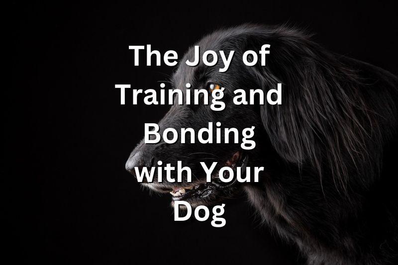 The Joy of Training and Bonding with Your Dog - Thom Byxbe's Research Desk