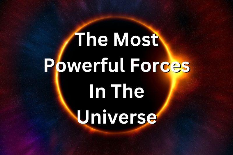 The Most Powerful Forces In The Universe - Thom Byxbe's Research Desk