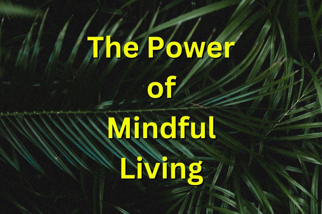 The Power of Mindful Living - Thom Byxbe's Research Desk