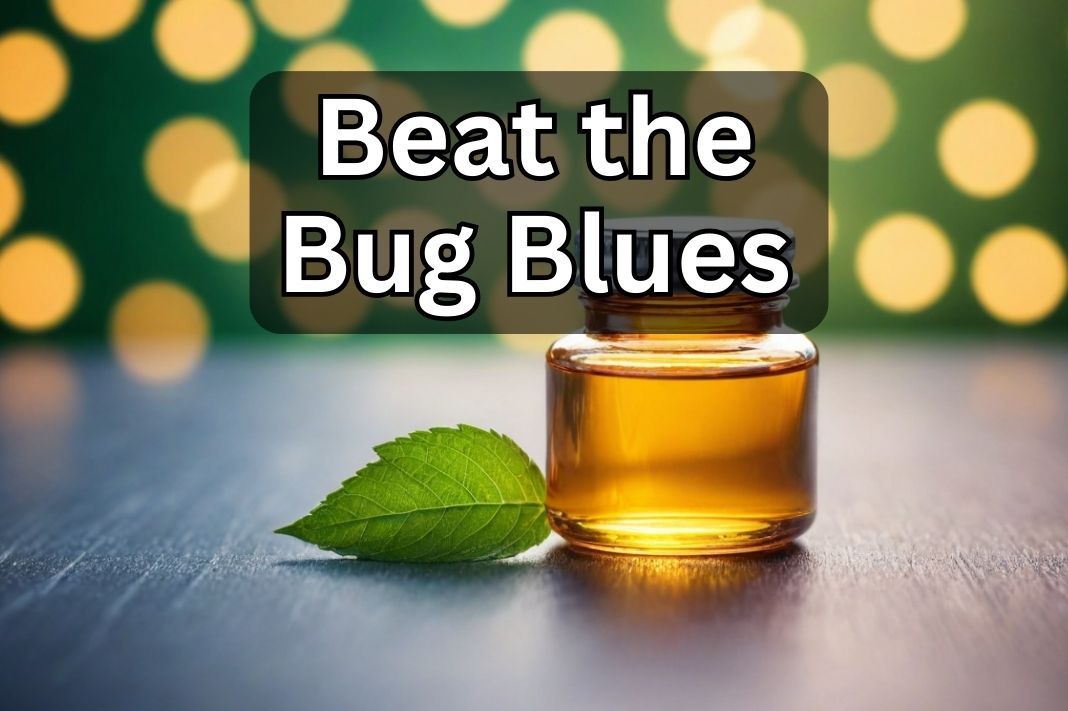 Beat the Bug Blues - Thom Byxbe's Research Desk